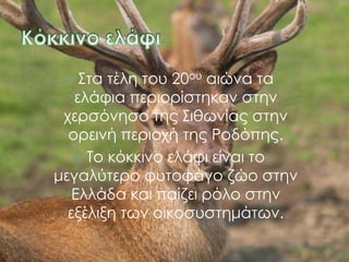 ζώα υπό εξαφάνιση! | PPT