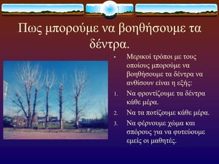 τα δέντρα στο σχολείο μας | PPT