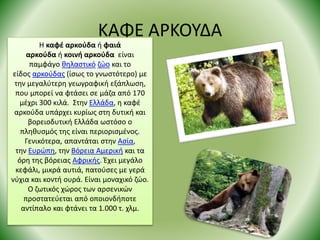 Ζώα υπό εξαφάνιση | PPTX