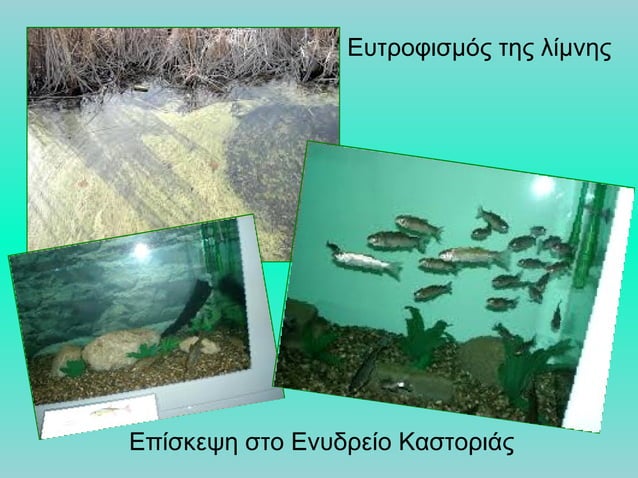 το νερο στη ζωη μας @ | PPT