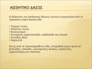 Υμηττός | PPT