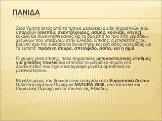 Υμηττός | PPT