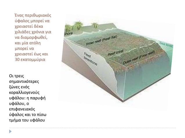 κοραλλιογενής ύφαλος | PPTX