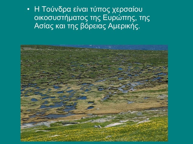 αρκτική | PPT