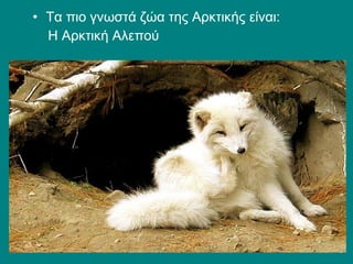 αρκτική | PPT