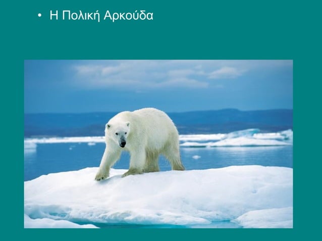 αρκτική | PPT