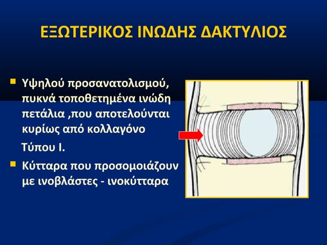 ΜΕΛΕΤΗ ΤΟΥ ΚΥΤΤΑΡΙΚΟΥ ΠΟΛΛΑΠΛΑΣΙΑΣΜΟΥ ΚΑΤΑ ΤΗΝ ΕΚΦΥΛΙΣΗ ΤΟΥ ...