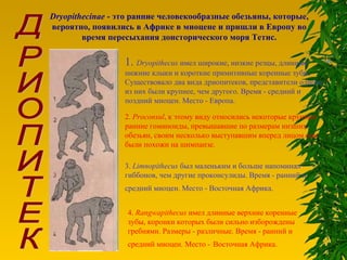 антропогенез | PPT | Geology | Science