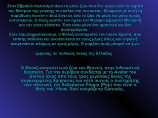 φοινικας το πουλι της φωτιας | PPT