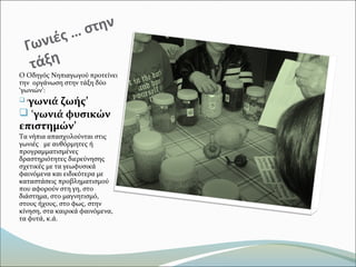 φυσικές επιστήμες και αναλυτικό πρόγραμμα στο νηπιαγωγείο | PPT