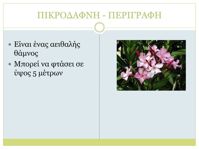 4ο ΔΣ Ασπροπύργου- Ο κήπος μας | PDF