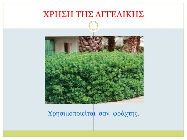4ο ΔΣ Ασπροπύργου- Ο κήπος μας | PDF