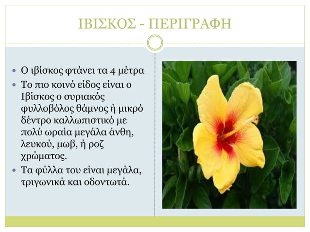 4ο ΔΣ Ασπροπύργου- Ο κήπος μας | PDF