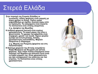 παράδοση και τέχνη | PPT