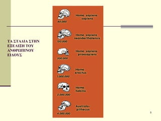 Προϊστορία - Εποχή του Λίθου | PDF