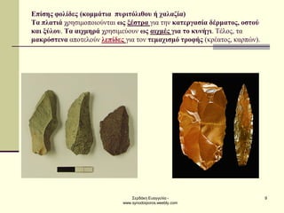 Προϊστορία - Εποχή του Λίθου | PDF