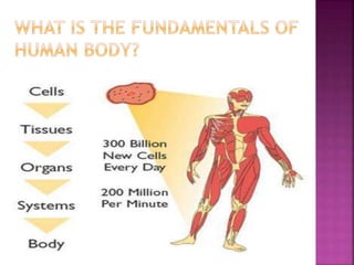 Basics and fundementals | PPTX