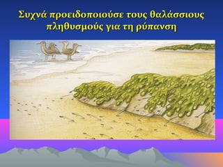 το δελφινοκόριτσο | PPT