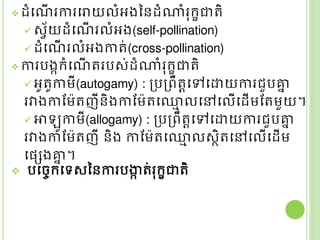 ការកែលំអគ្រាប់ពូជ | PPT