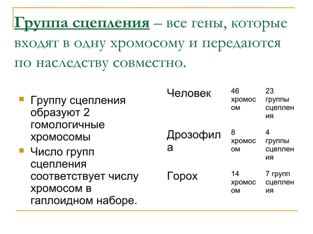 хромосомная теория наследственности | PPT