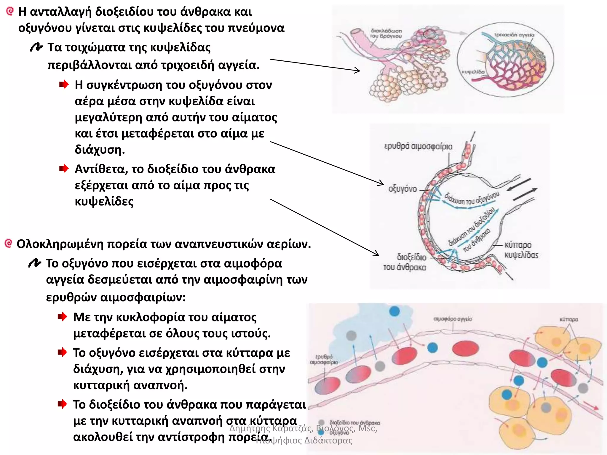 Μάθημα: Βιολογία. Α' Γυμνασίου-Σημειώσεις σχολικού βιβλίου | PPTX