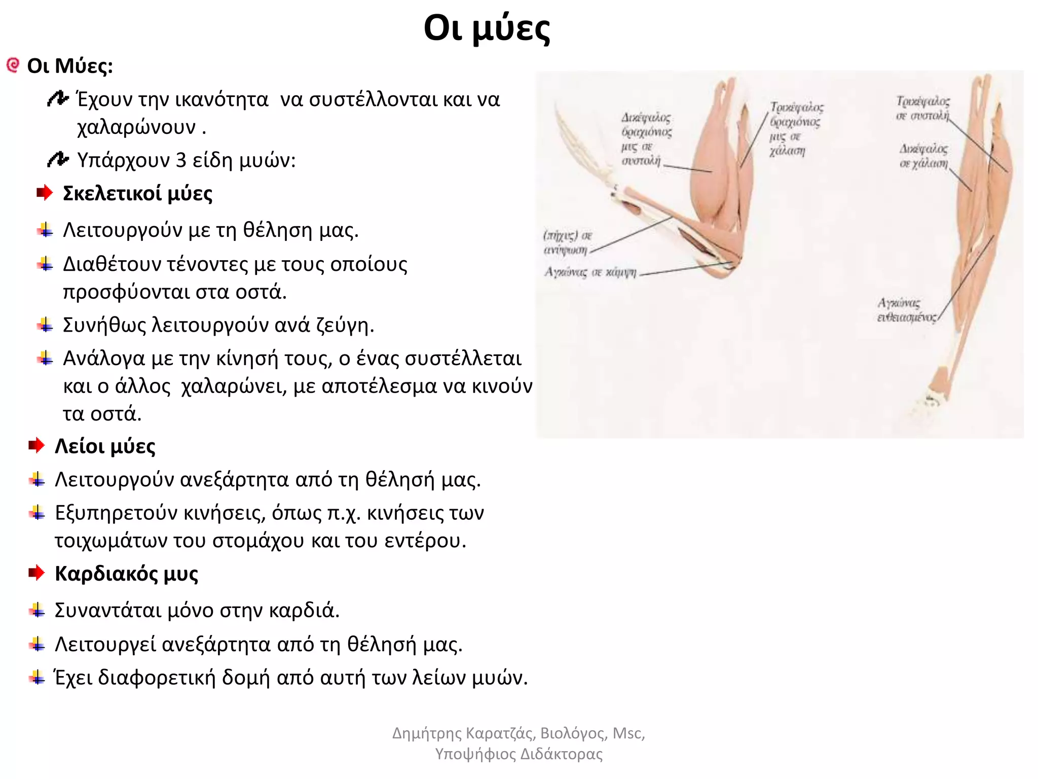 Μάθημα: Βιολογία. Α' Γυμνασίου-Σημειώσεις σχολικού βιβλίου | PPTX