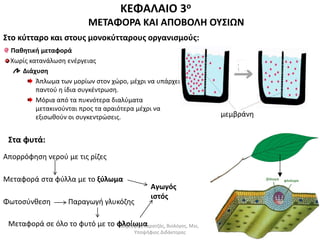 Μάθημα: Βιολογία. Α' Γυμνασίου-Σημειώσεις σχολικού βιβλίου | PPTX