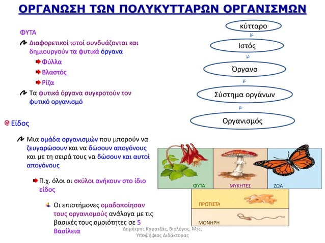 Μάθημα: Βιολογία. Α' Γυμνασίου-Σημειώσεις σχολικού βιβλίου | PPTX
