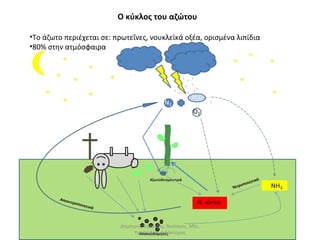 Μάθημα: Βιολογία. Γ' Γυμνασίου-Σημειώσεις σχολικού βιβλίου | PPT