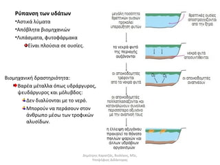 Μάθημα: Βιολογία. Γ' Γυμνασίου-Σημειώσεις σχολικού βιβλίου | PPT