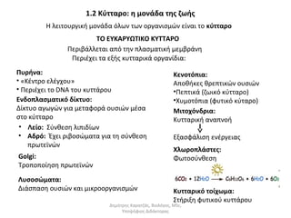 Μάθημα: Βιολογία. Γ' Γυμνασίου-Σημειώσεις σχολικού βιβλίου | PPT