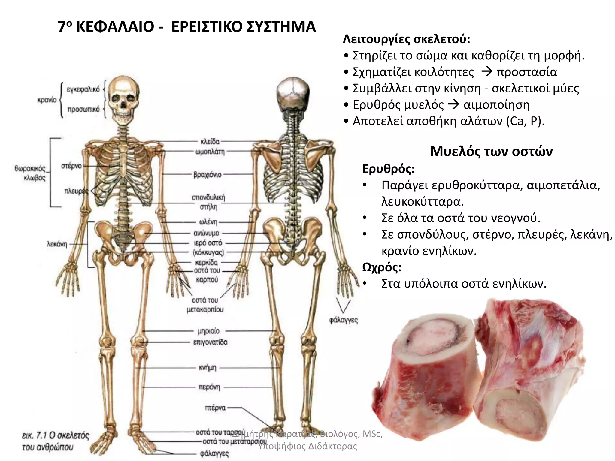 Μάθημα: Βιολογία. Α' Λυκείου. 7ο & 8ο Κεφ.-Σημειώσεις σχολικού βιβλίου ...