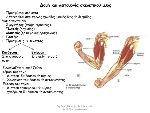 Μάθημα: Βιολογία. Α' Λυκείου. 7ο & 8ο Κεφ.-Σημειώσεις σχολικού βιβλίου