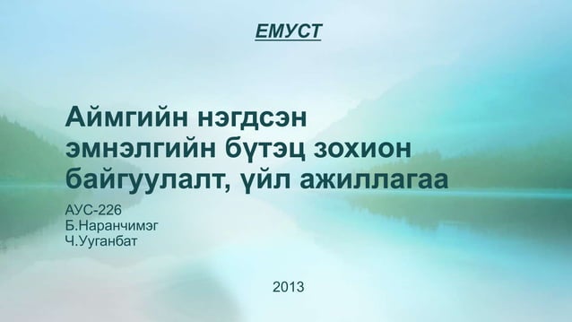 аймгийн нэгдсэн эмнэлгийн бүтэц зохион байгуулалт үйл ажиллагаа