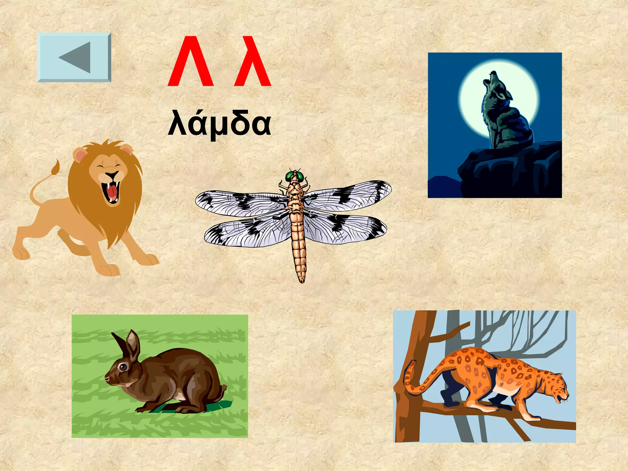 αλφάβητο ζώων | PPT