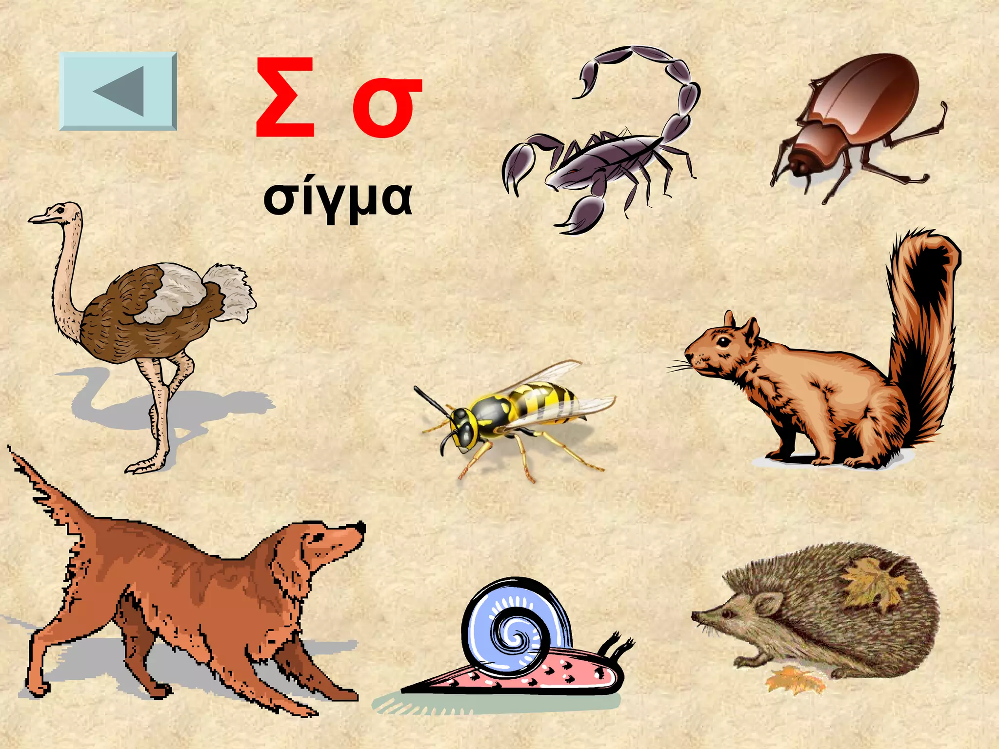 αλφάβητο ζώων | PPT