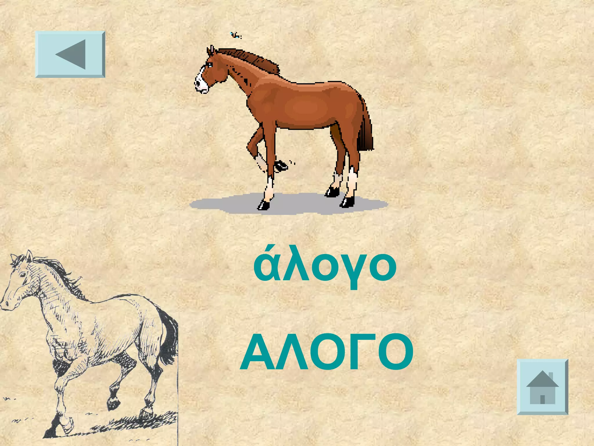 αλφάβητο ζώων | PPT