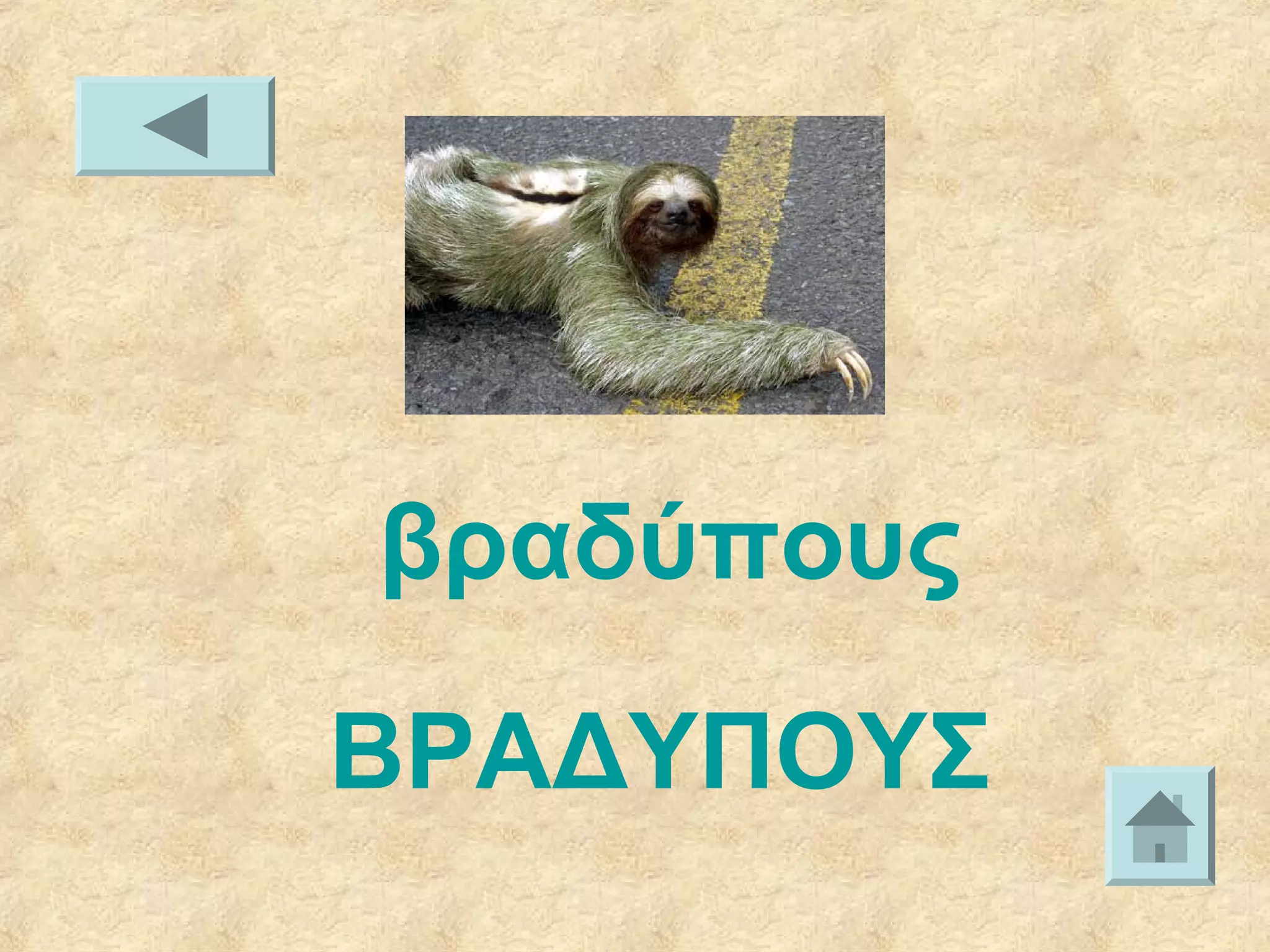 αλφάβητο ζώων | PPT