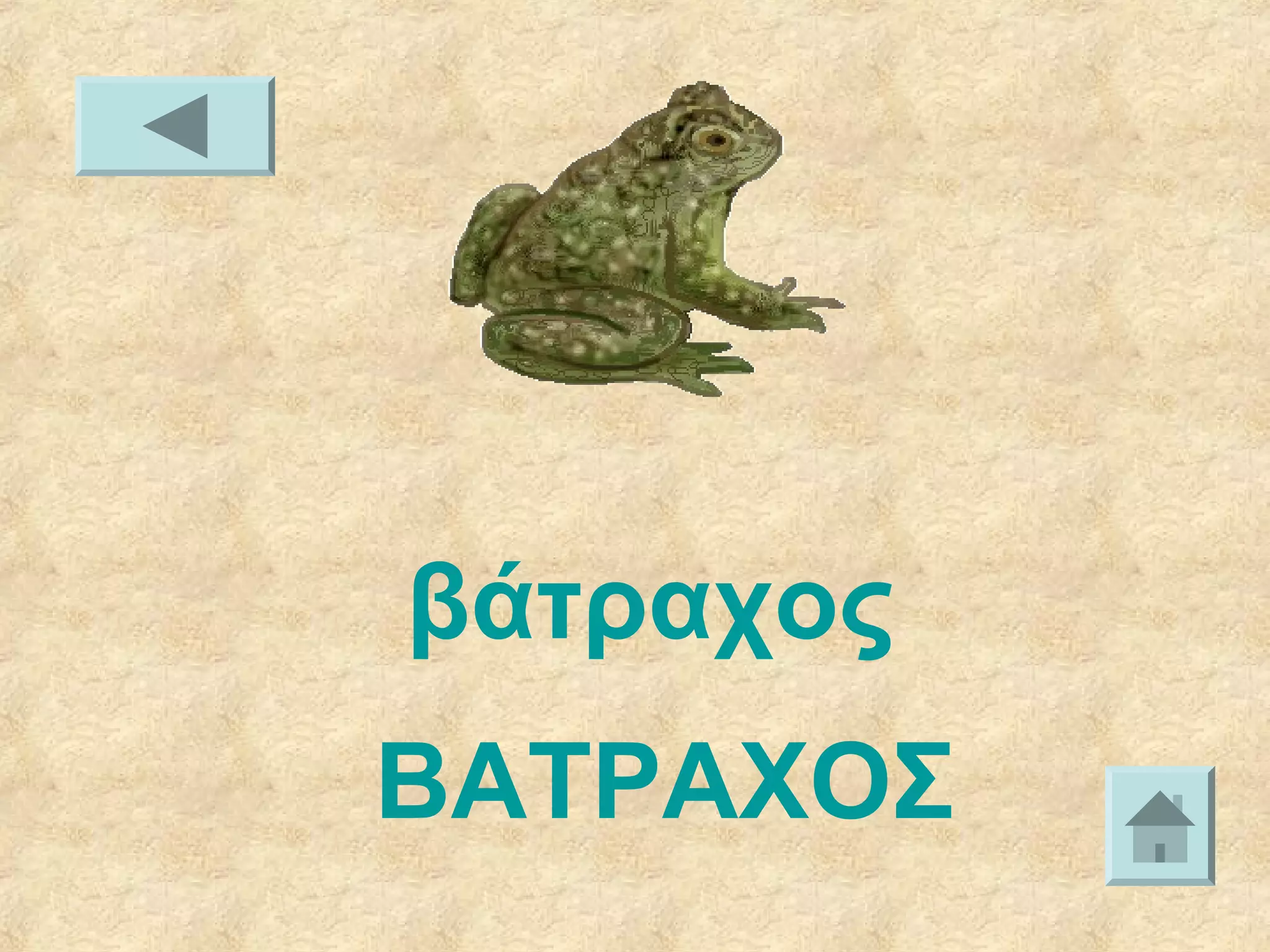 αλφάβητο ζώων | PPT