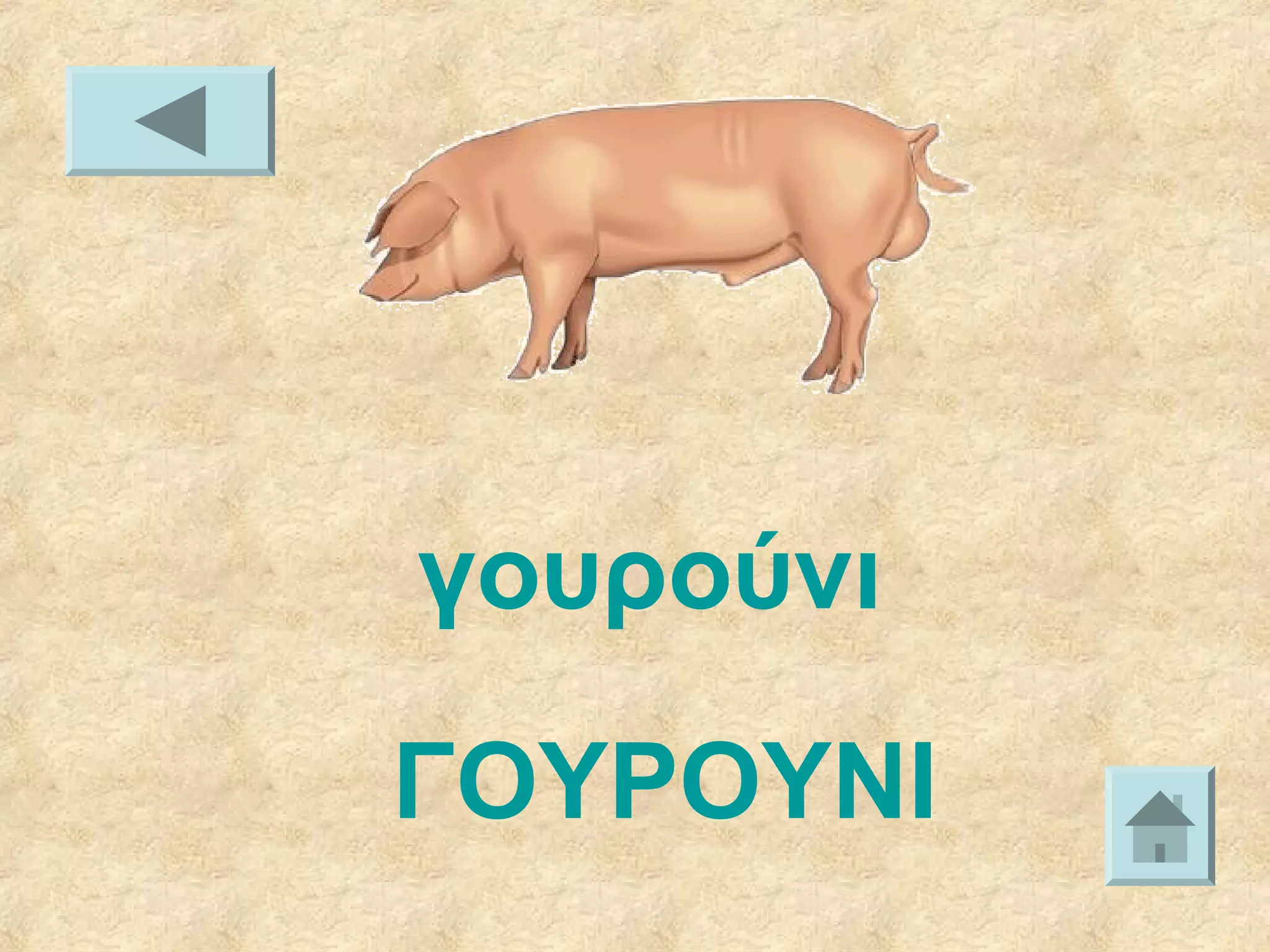 αλφάβητο ζώων | PPT