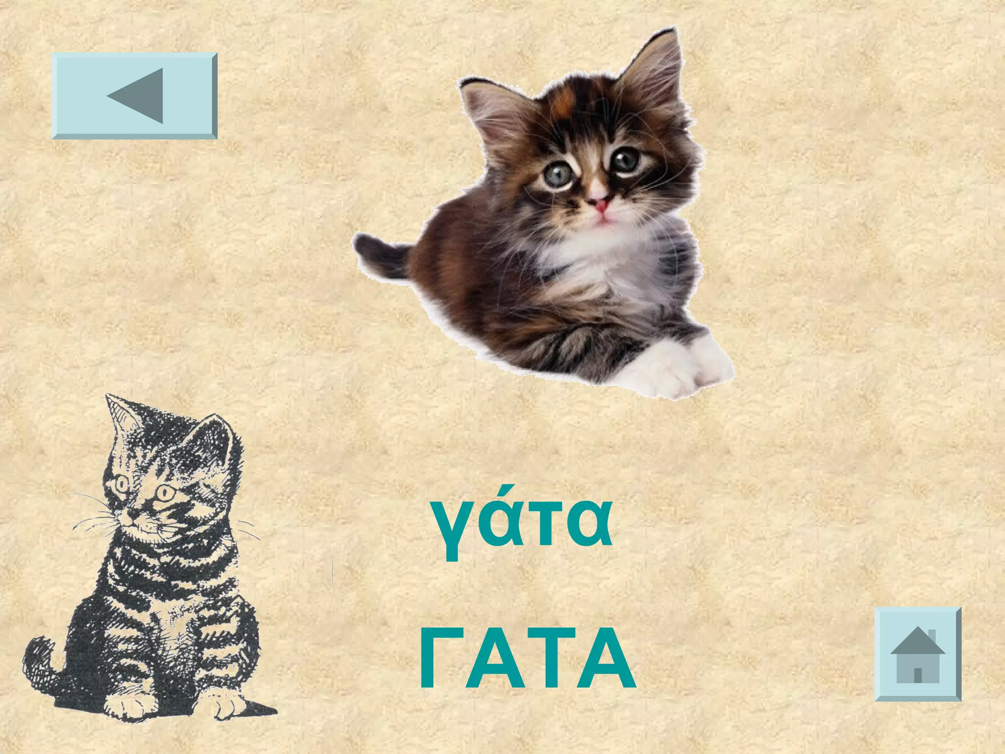 αλφάβητο ζώων | PPT