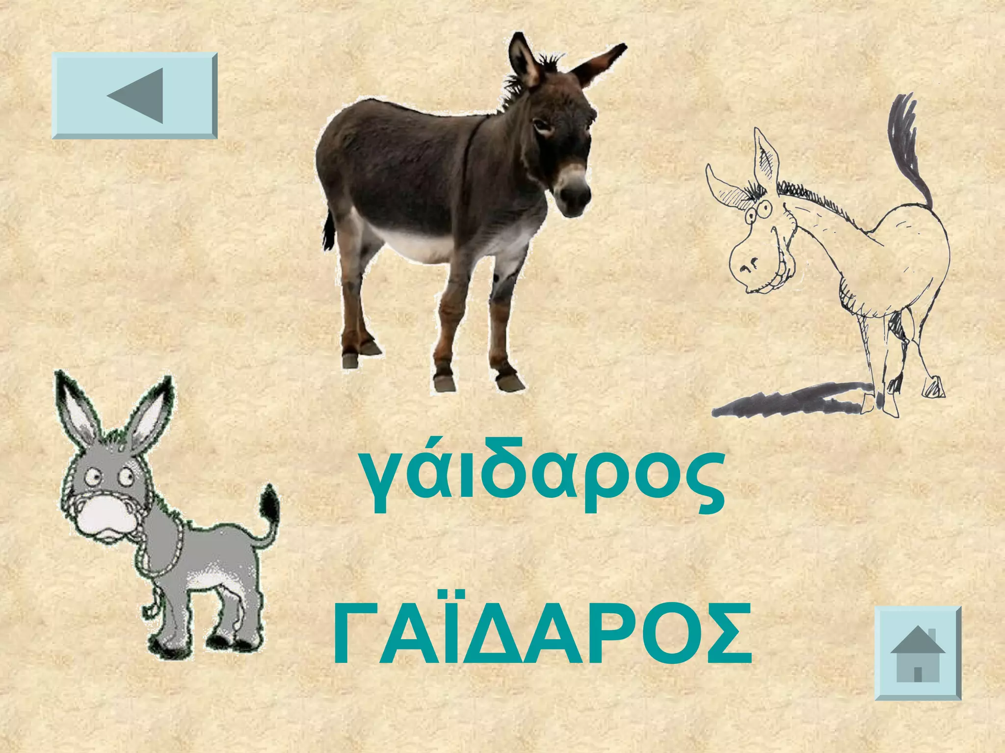 αλφάβητο ζώων | PPT
