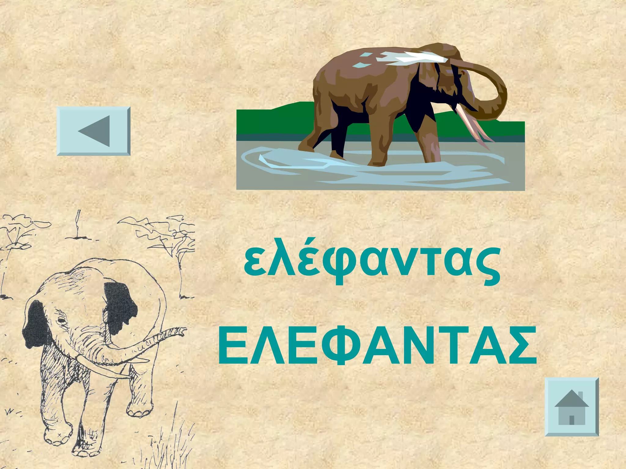αλφάβητο ζώων | PPT