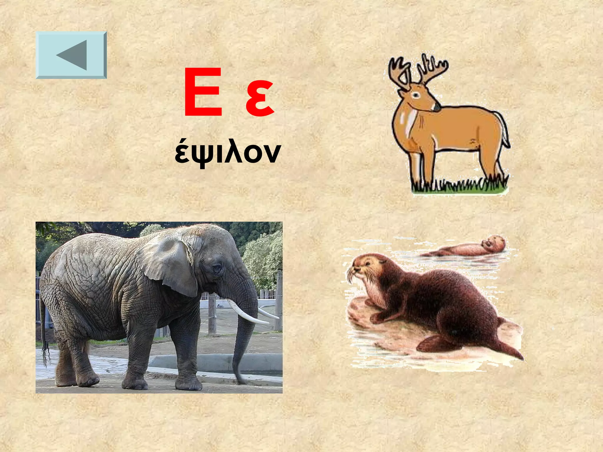 αλφάβητο ζώων | PPT