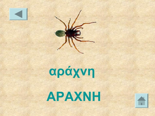 αλφάβητο ζώων | PPT