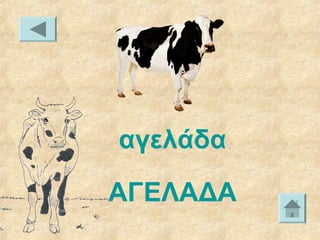 αλφάβητο ζώων | PPT