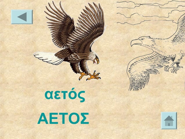 αλφάβητο ζώων | PPT