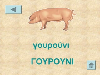 αλφάβητο ζώων | PPT