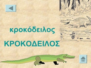 αλφάβητο ζώων | PPT