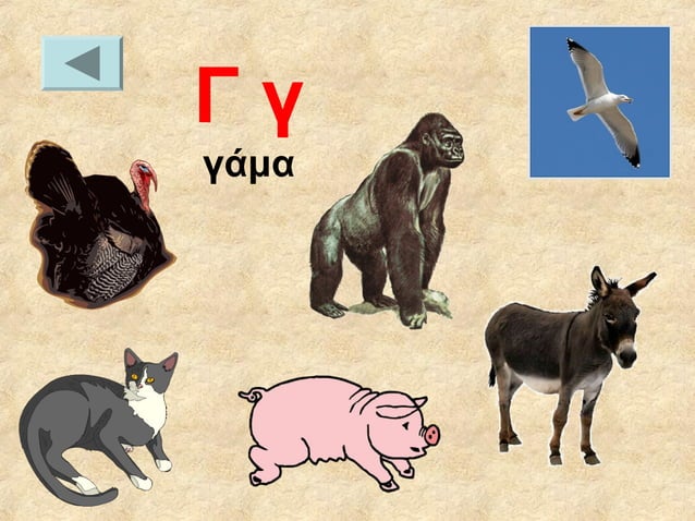 αλφάβητο ζώων | PPT